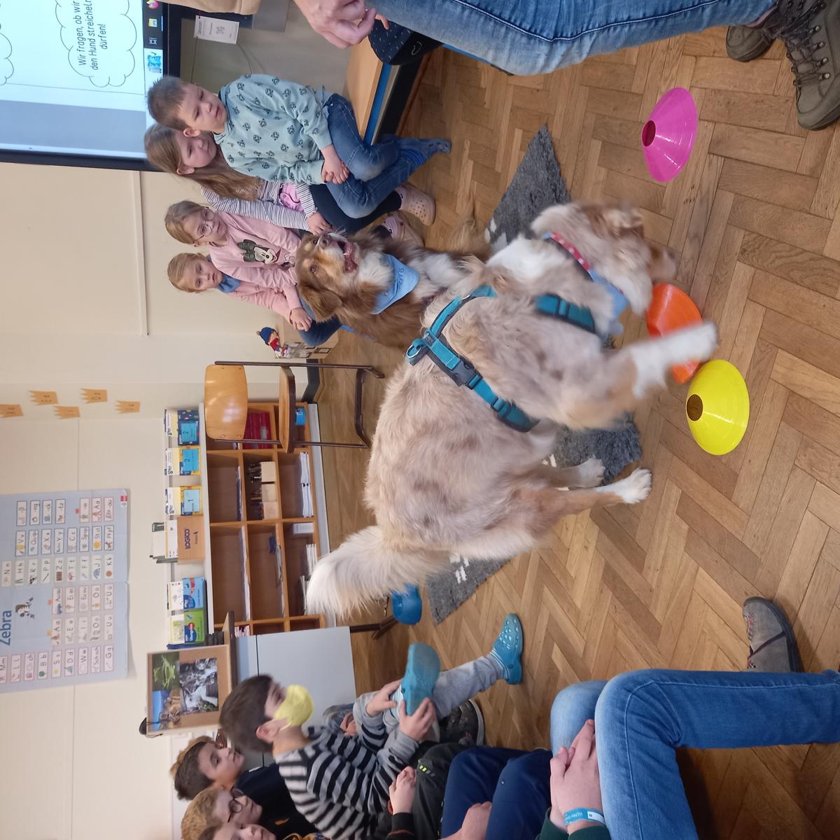 19.01.2022: Ferris und Cooper zu Besuch in Halverde